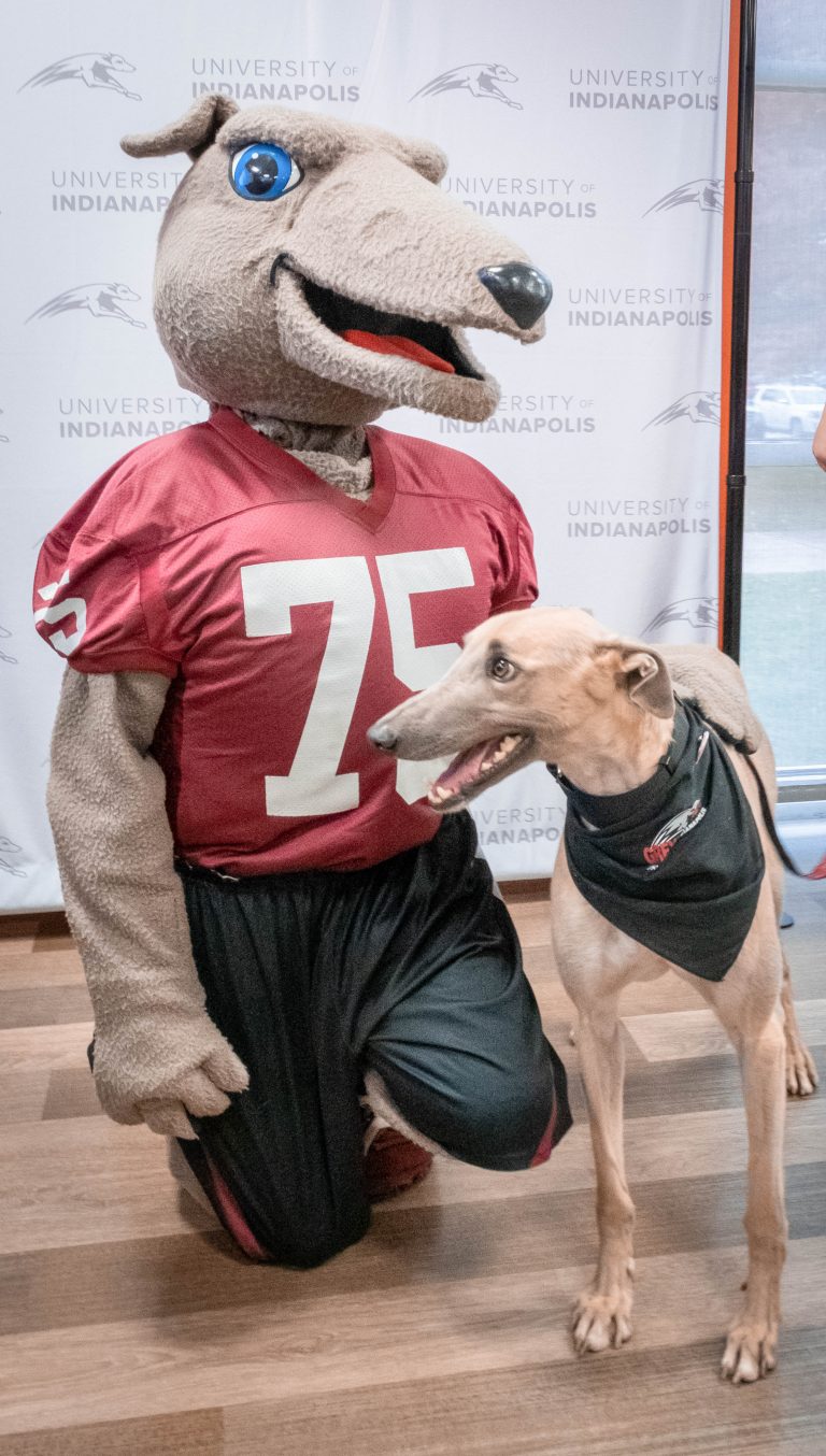 Live Mascot Program returns after almost 40 years with introduction of ...