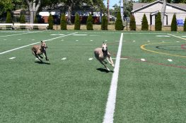 UIndy enables new two-factor authorization for student login – The ...