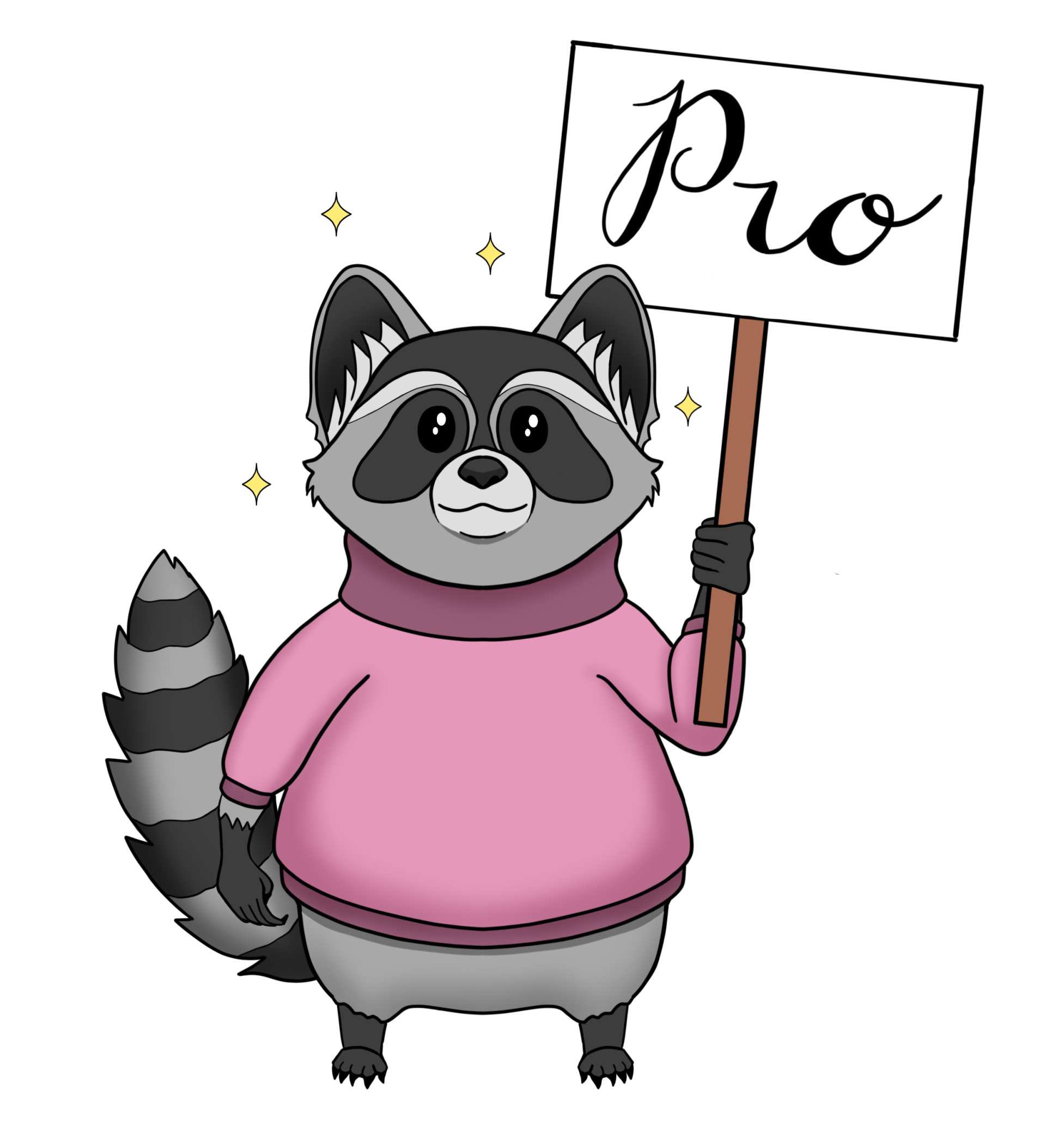 Pro/Con: Should raccoons be pets? – The Reflector